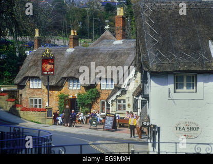 The Village Inn, Old Shanklin Village, Isle of Wight, Hampshire Stock ...