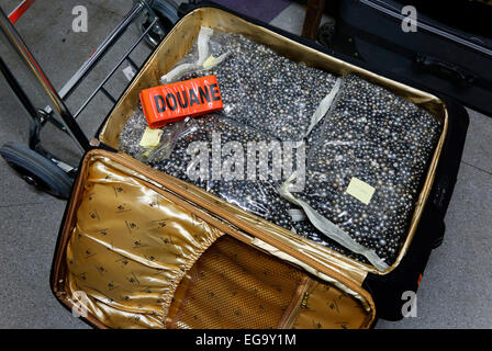 Fa'a' International Airport (French Polynesia), June 2013: Customs ...