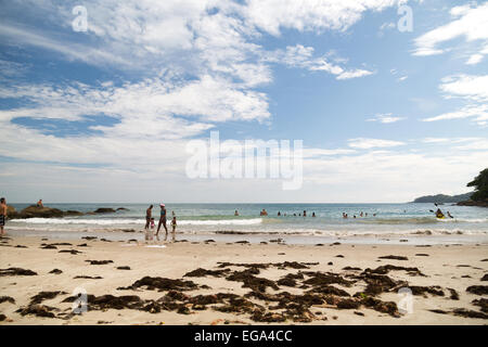Vacationers at the beach and seaweed accumulations. Praia do Ribeiro is ...