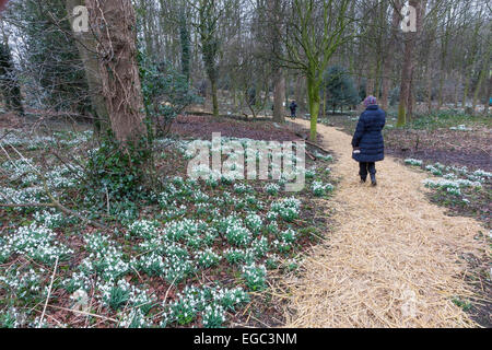 Greatham, Hartlepool, Co. Durham UK. 22nd February, 2015. Visitors ...