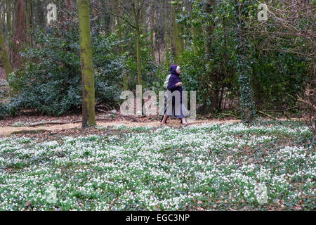 Greatham, Hartlepool, Co. Durham UK. 22nd February, 2015. Visitors ...