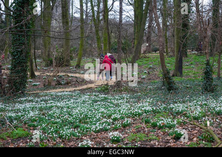 Greatham, Hartlepool, Co. Durham UK. 22nd February, 2015. Visitors ...