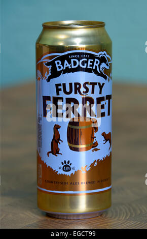 Badger Fursty Ferret beer can Stock Photo - Alamy