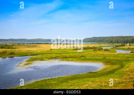Empty rural Russian landscape. Sorot river in the summer day Stock ...