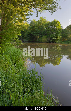 Raab River Landscape Stock Photo - Alamy