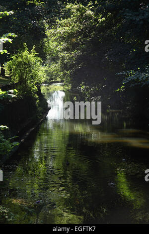 The River Wytham in Wyndham Park, in Grantham, Lincolnshire Stock Photo ...