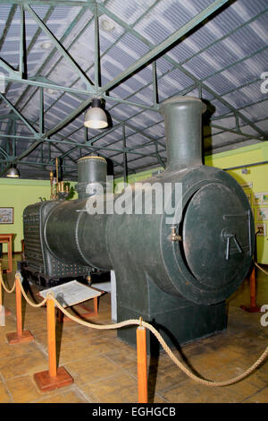 Bois Cheri Tea Factory Mauritius Freshly Picked Tea Leaves Awaiting ...