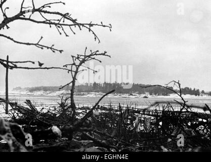 German soldiers on the Narva in Estonia, 1941 Stock Photo - Alamy