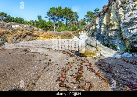 Hidden Beach at the Point Lobos State Reserve. Monterey county ...