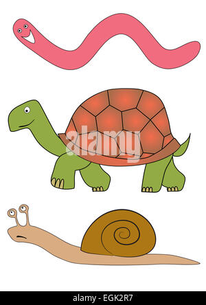 Tortoise and snail Stock Photo - Alamy