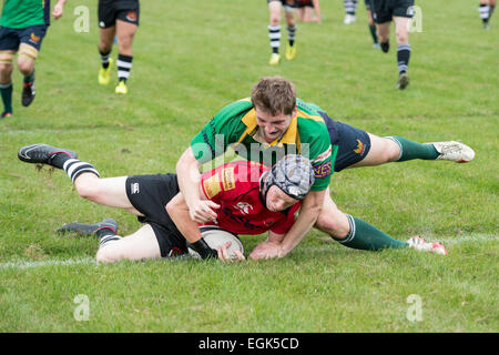 Sherborne player (scrum cap) prevents North Dorset RFC player scoring ...