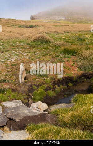Lichen and moss covered stone bridge at Arnarstapi, Snaefellsness ...