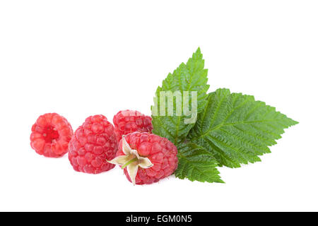 one red macro raspberry over white background studio shot Stock Photo ...