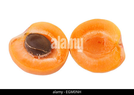 Two halves of apricot fruit with core seed isolated on white background ...