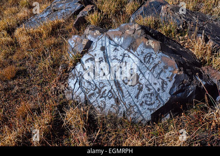 Ancient pictograms engraved on rock on Saimaluu Tash site in Kyrgyzstan ...