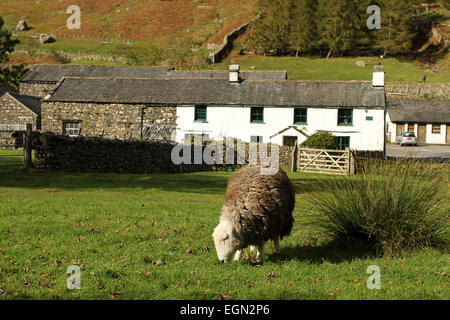 Middle Fell Farm, Great Langdale, Lake District National Park, Cumbria ...
