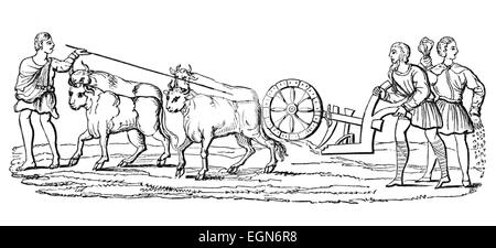 Anglo Saxon ploughing plough plow oxen tool farming cultivation soil ...