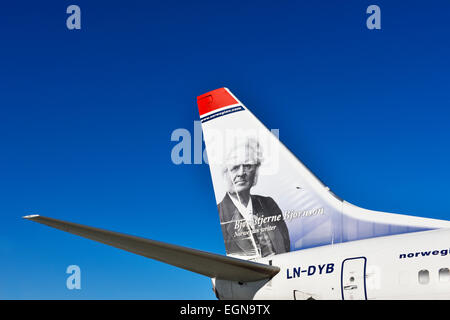 tail empennage, horizontal stabilizer, wing, boeing, b 787, B787, 8, 9 ...