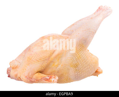 Raw chicken carcass isolated on a white background. Close-up Stock ...