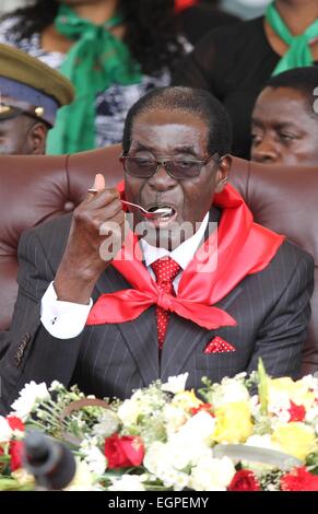 Victoria Falls, Zimbabwe. 28th February, 2015. Zimbabwean President ...