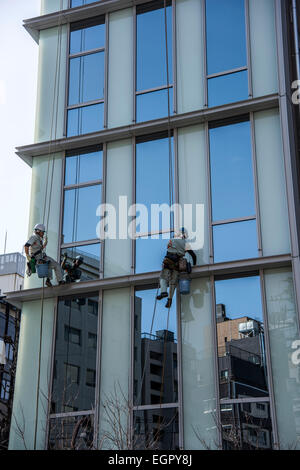 Workers cleaning building,Bunkyo-Ku,Tokyo,Japan Stock Photo - Alamy