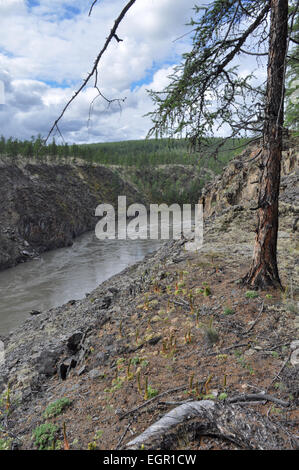 Canyon of the mountain river in Yakutia. Ridge Suntar-khayata, river ...