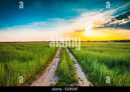 Photo of a beautiful sunset countryside over the fields on the ...