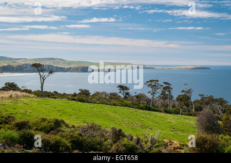 Tahakopa Bay, Papatowai, Catlins, Otago, South Island, New Zealand ...