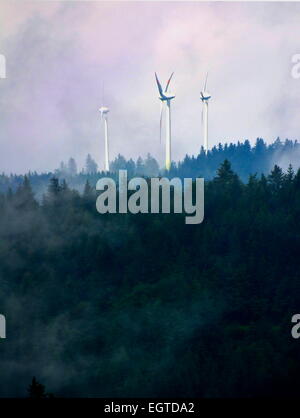 Fog in the morning forest Stock Photo - Alamy
