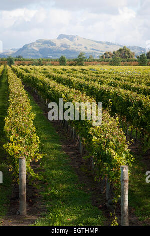 Mill Road, , NZ, New Zealand, Southland, S 46 23' 54'', N 168 24' 36 ...