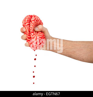 BRAIN HEMORRHAGE ANATOMY Stock Photo: 53861910 - Alamy