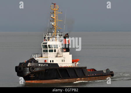 Tugboat WULF 9 Stock Photo - Alamy