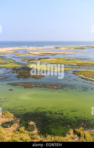 Panoramic view of the polluted estuary and islands of the Adyar River ...