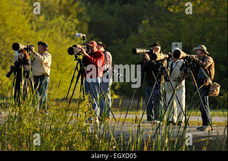 Wildlife photographers, Venice Bird Rookery, Florida, nature ...
