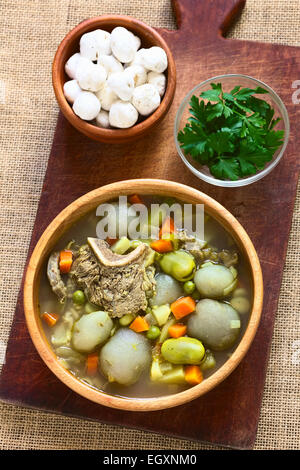 Typical dish of the Bolivian cuisine called pica pica, made with meat ...