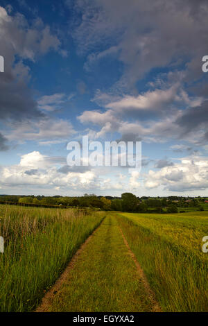 Angles Way footpath in Norfolk, UK Stock Photo - Alamy
