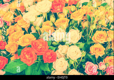 Defocus big bunch of beautiful flowers. A lot of multicolored roses ...