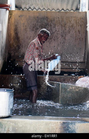 Dhobi Washing and Ironing House (Laundry House) Cochin, India Stock ...
