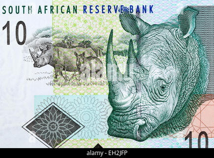 South Africa 10 Ten Rand Bank Note Stock Photo - Alamy