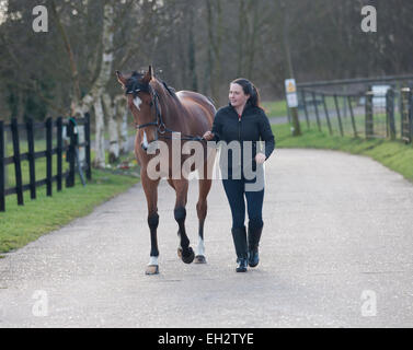 A young woman leading a Thoroughbred horse in hand Stock Photo - Alamy