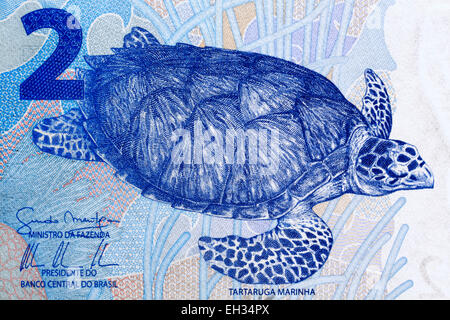 Brazilian money, Two Reais with a turtle Stock Photo - Alamy