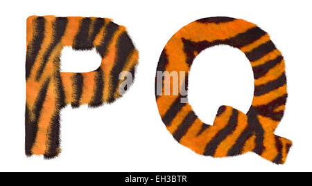 Tiger fell W and V letters isolated over white background Stock Photo ...