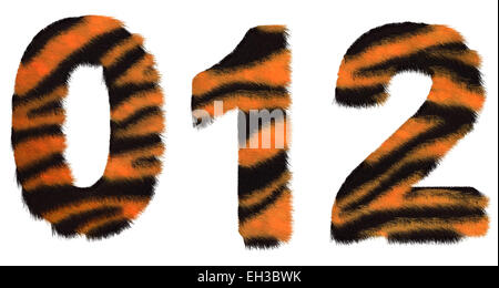 Tiger fell 6 7 and 8 figures isolated over white Stock Photo - Alamy