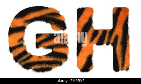 Tiger fell W and V letters isolated over white background Stock Photo ...