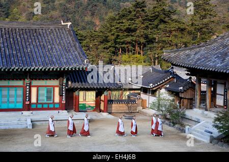 Monk at Haeinsa monastery, UNESCO world heritage, Haeinsa, Kayasan ...
