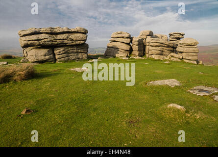 Granite weathered stone outcrops of Combestone Tor. Dartmoor National ...