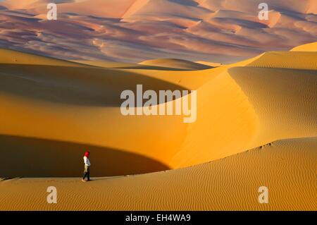 Moreeb dune in Liwa Oasis area, Emirate of Abu Dhabi, United Arab ...