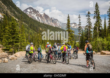 Road to Edith Cavell in Jasper National Park Stock Photo - Alamy