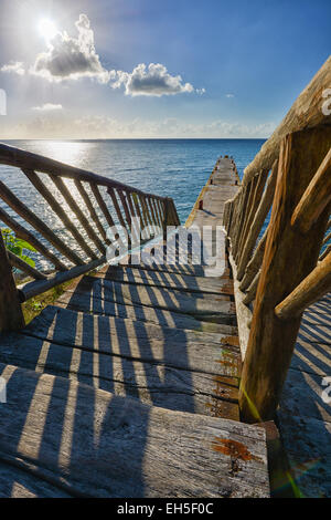 Wooden boardwalk foot bridge with railing through the wooded hiking ...