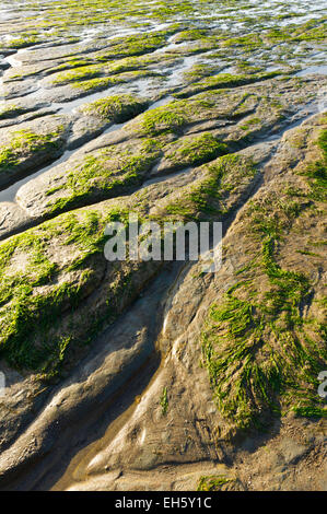 Stones and slabs at low tide on Lilstock beach, Somerset Stock Photo ...